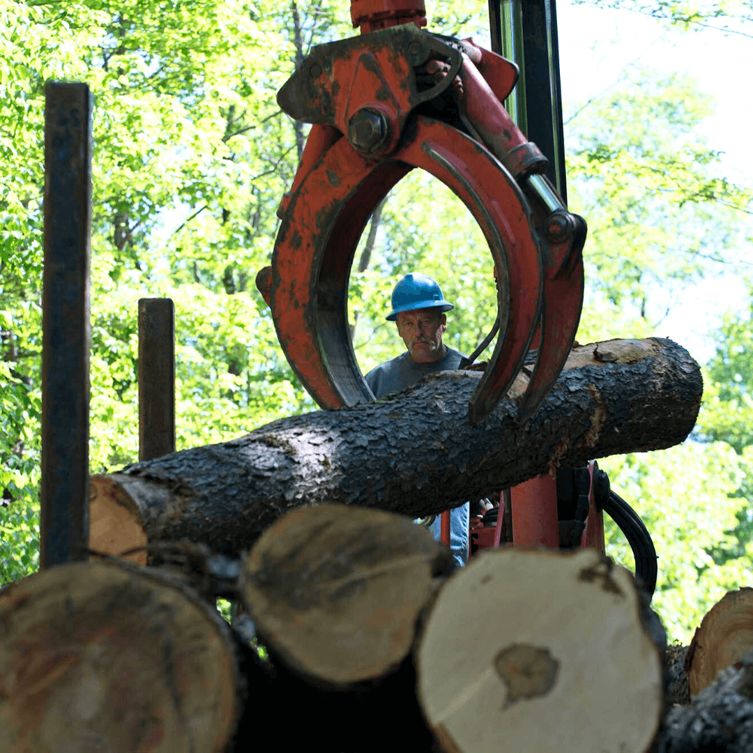 PA Forest Careers By Interest