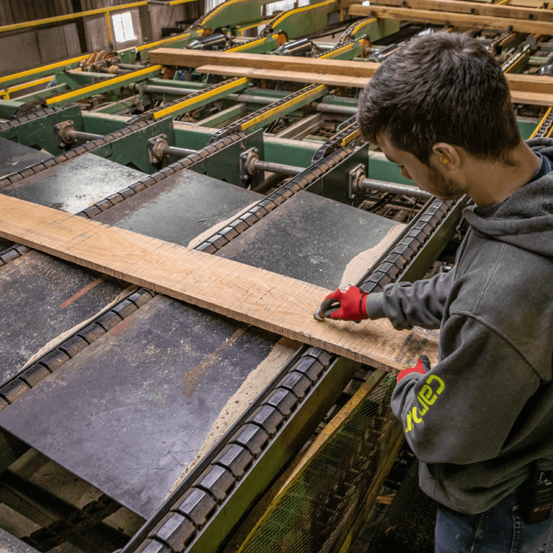 PA Forest Careers By Interest